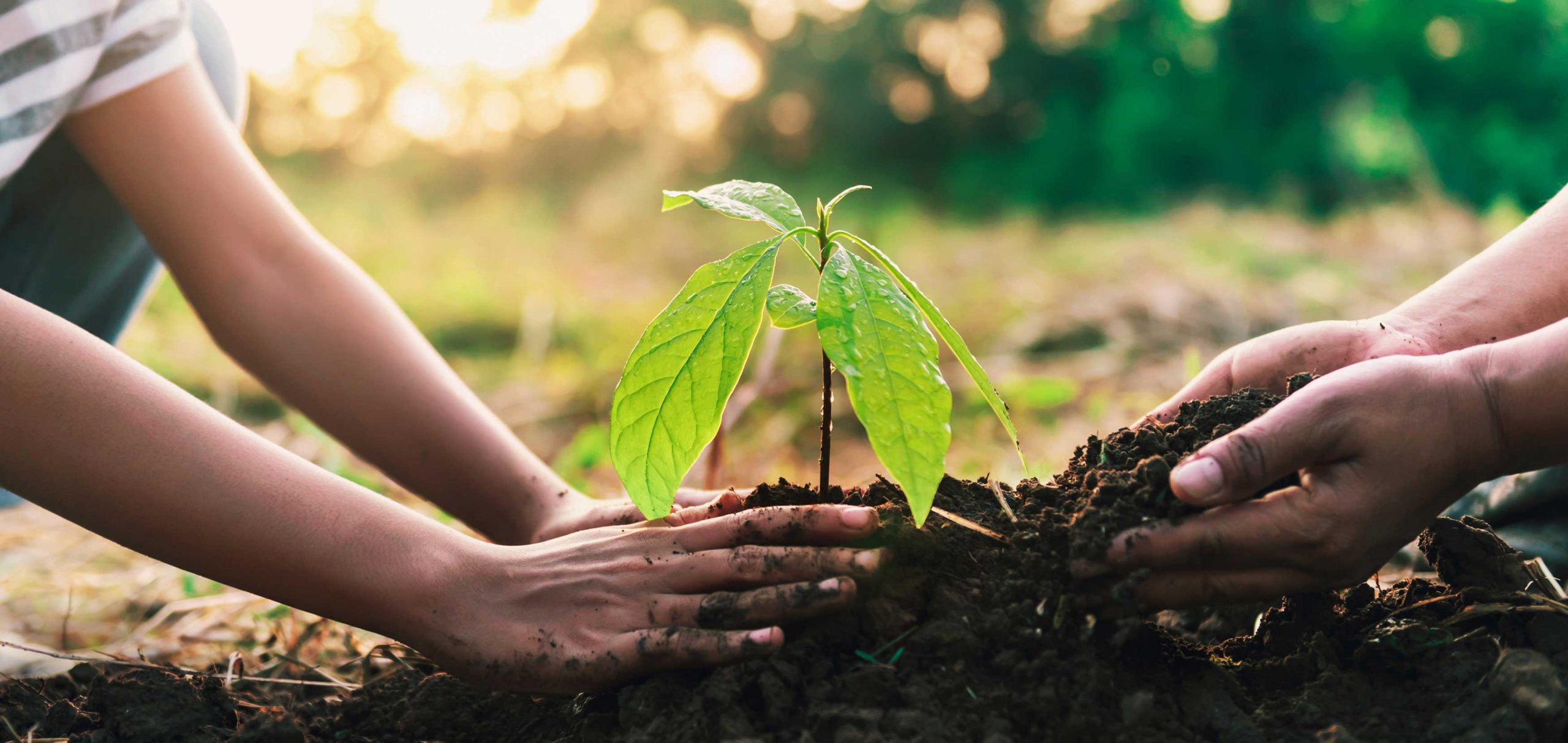 Réaliser son BEGES, bilan des émissions de gaz à effet de serre